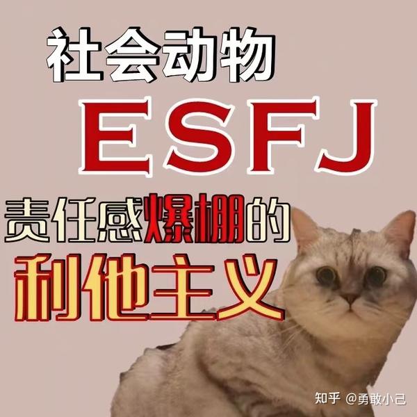 ESFJ人格适合什么职业 - 知乎