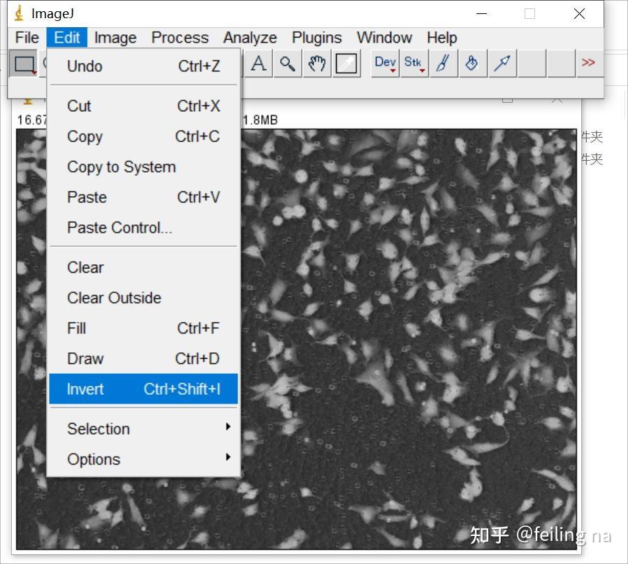 Transwell-Image J统计分析方法 - 知乎