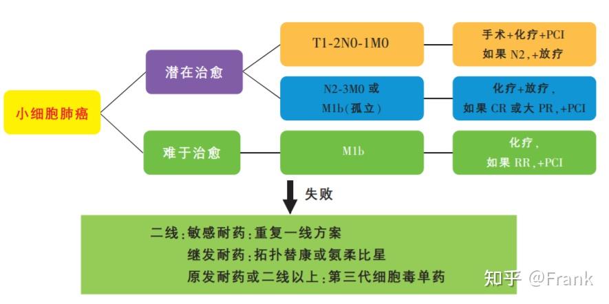 小细胞肺癌（SCLC） - 知乎