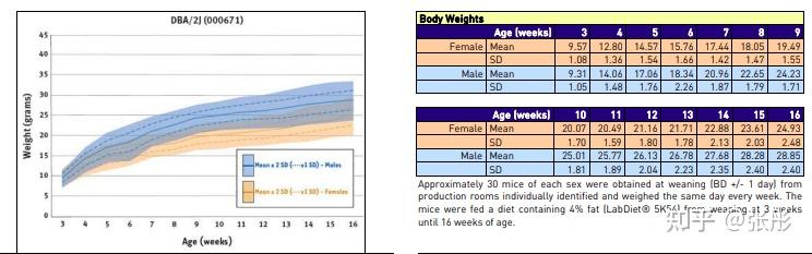 DBA小鼠以及其亚系介绍：DBA/1和DBA/2 - 知乎