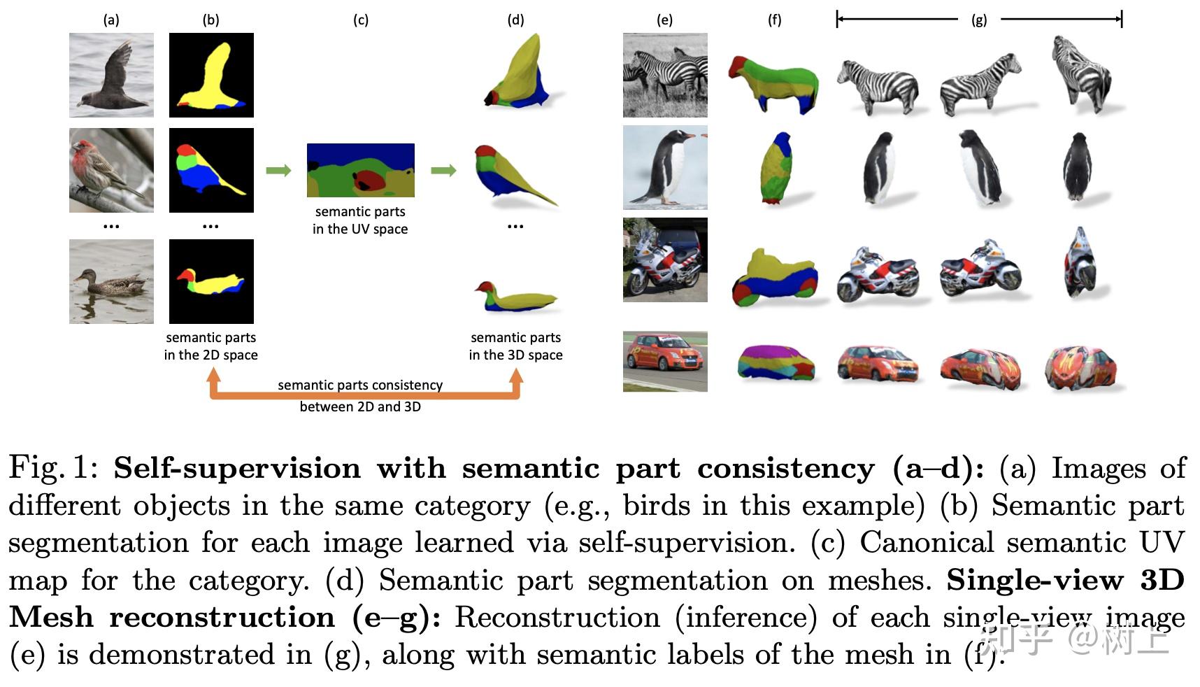 读UMR：Self-supervised Single-view 3D Reconstruction via Semantic Consistency - 知乎