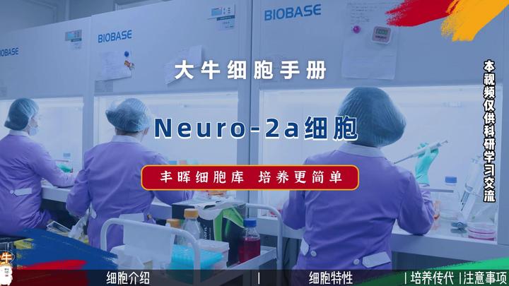 Neuro-2a细胞培养，小鼠神经母细胞瘤细胞培养攻略 - 丰晖生物 - 知乎