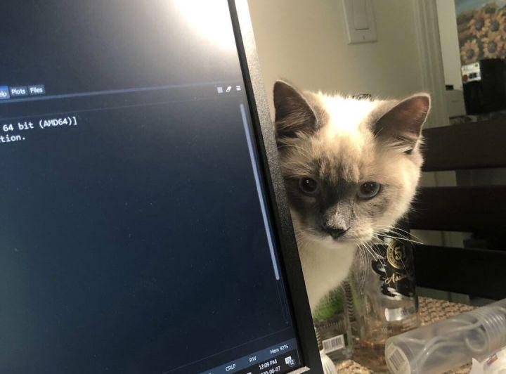 Python排序sorted()函数里cmp_to_key和cmp - 知乎