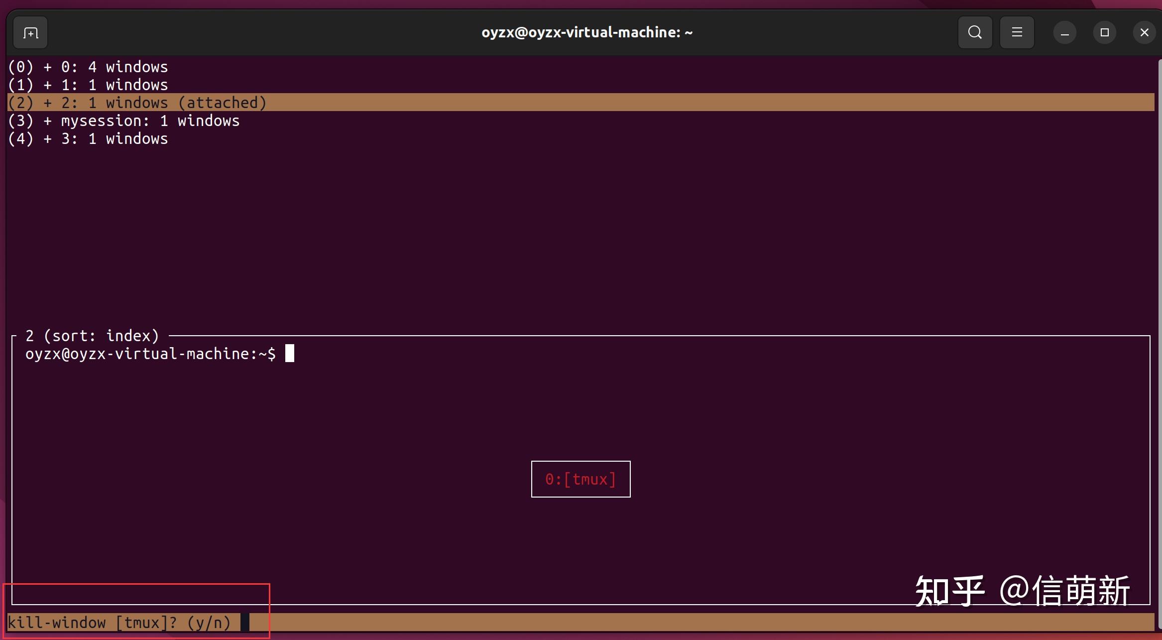 【AcWing-Linux】tmux和vim - 知乎
