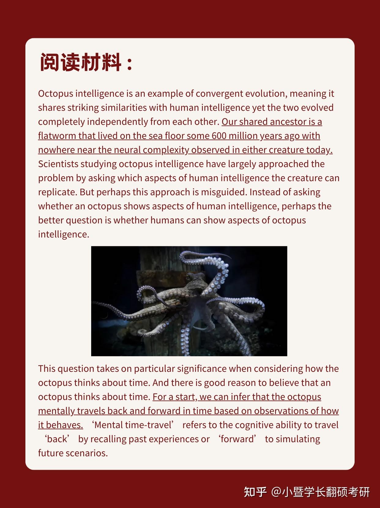 【阅读材料分享】| Octopus Time by David Borkenhagen-Ⅱ - 知乎