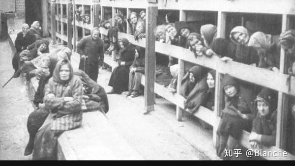 靠阴谋起家的刽子手希姆莱 - 知乎