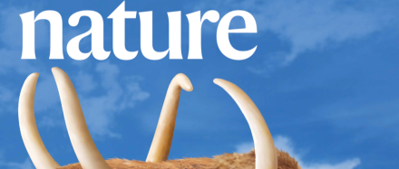 交大《自然》发文PandaX实验最新研究成果解析暗物质有多「暗」 - 知乎