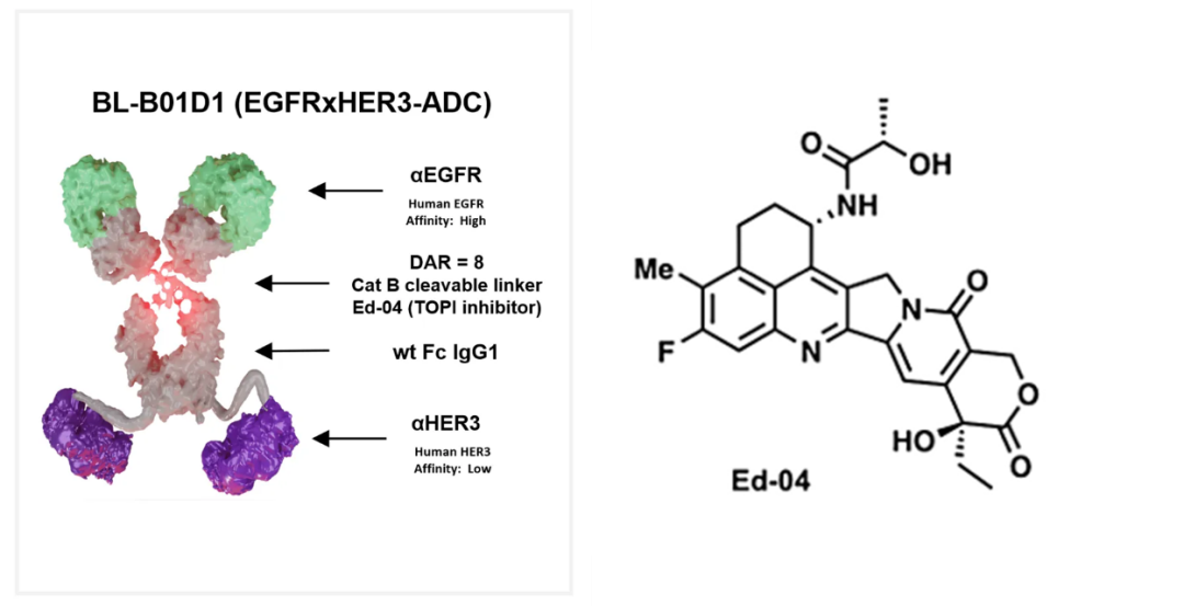 横空出世：百利天恒ADC药物全梳理 - 知乎