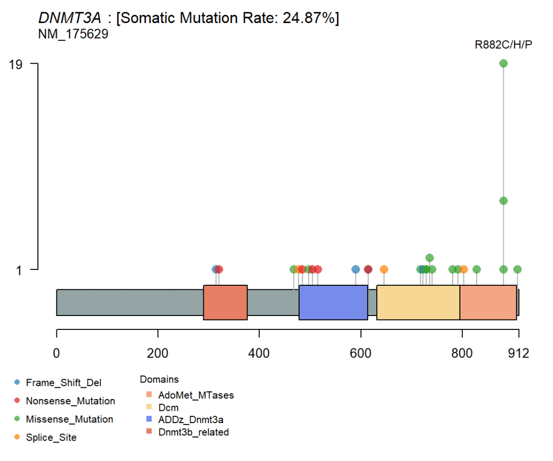 一文学会R包 maftools 简介使用 - 知乎