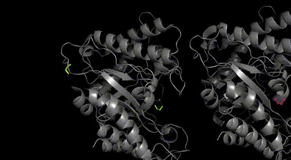 PyMol-制作动画 - 知乎
