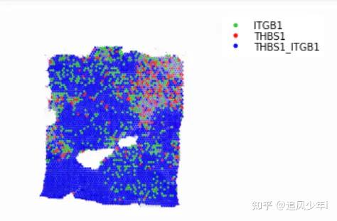 10X空间转录组之空间临近通讯分析stlearn进阶版 - 知乎
