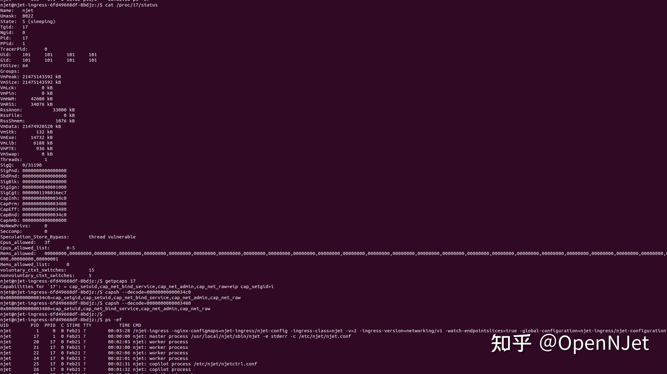 NJet KIC capabilities管理 - 知乎