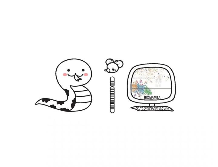Python包的创建、导入、安装 知乎