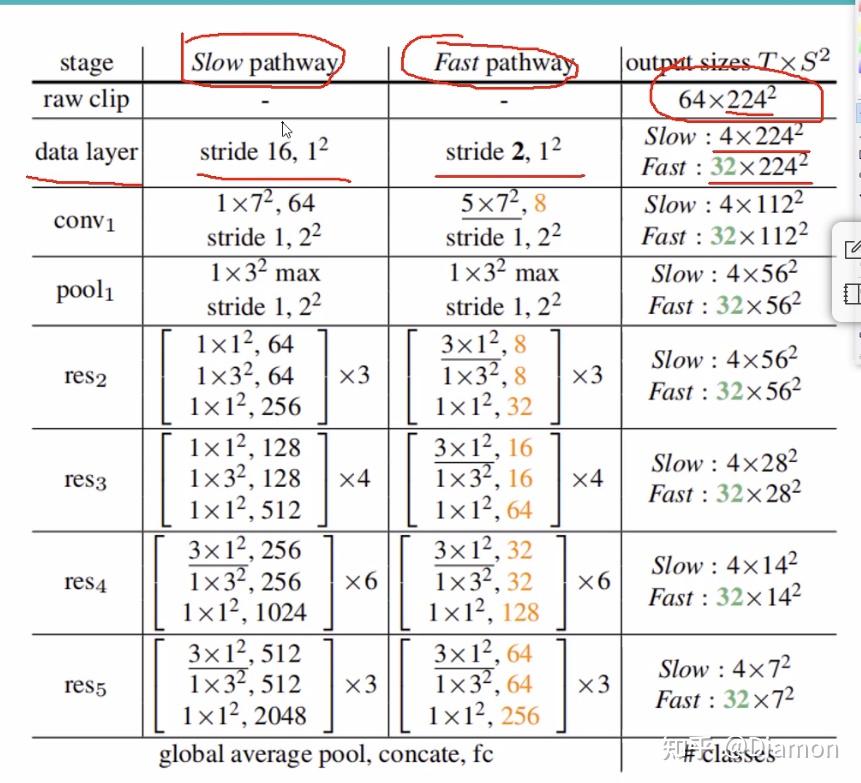 行为识别. slowfast算法 - 知乎