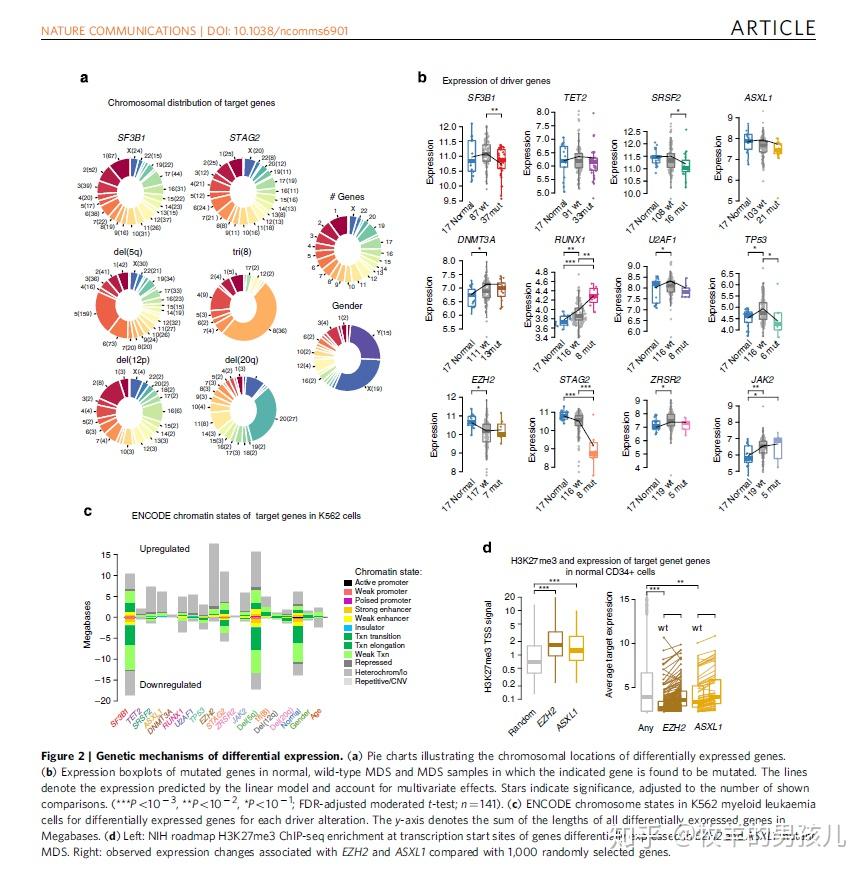 第一个跟着Nature Communications学画图系列合集 - 知乎