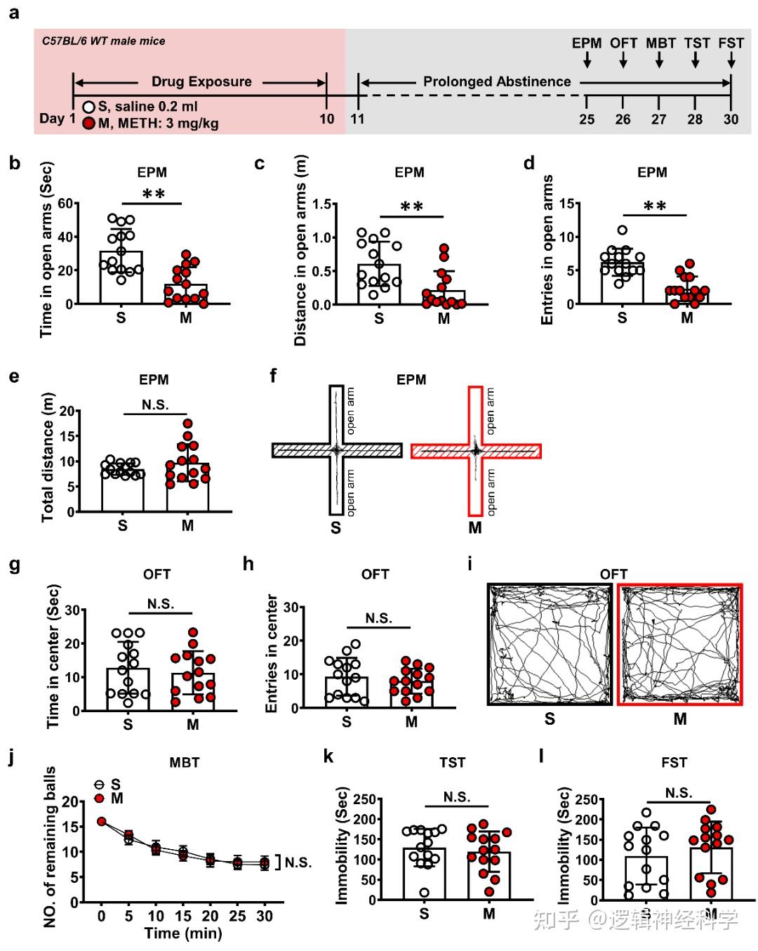 J Neurosci︱南京中医药大学关晓伟/葛菲菲团队发现甲基苯丙胺戒断焦虑的新中枢机制 - 知乎