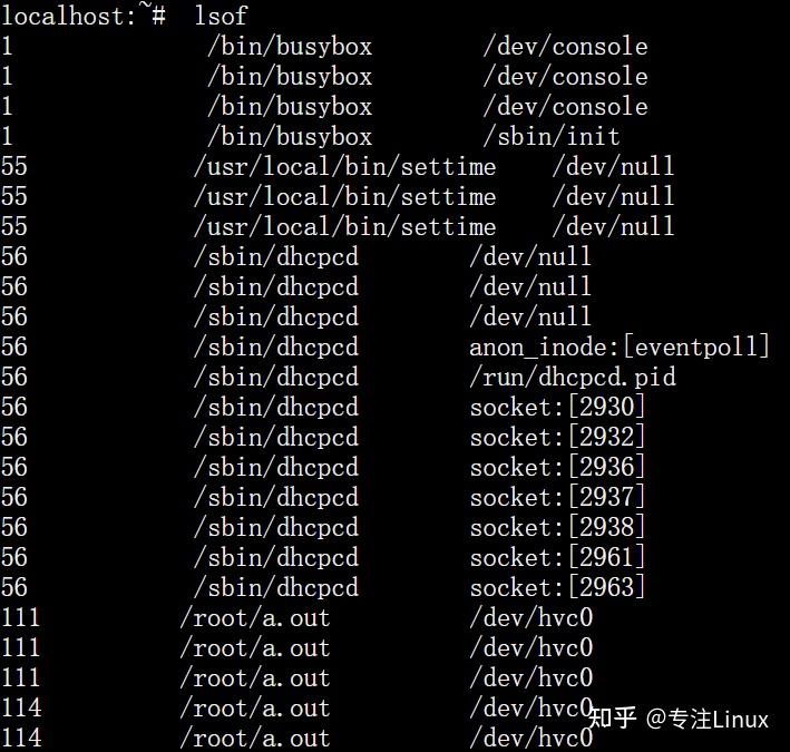 【Linux101-16】lsof - 知乎
