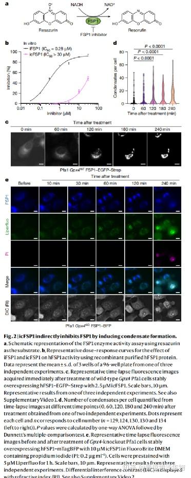【神刊文献解读】NATURE高分前沿文献分享 - 知乎