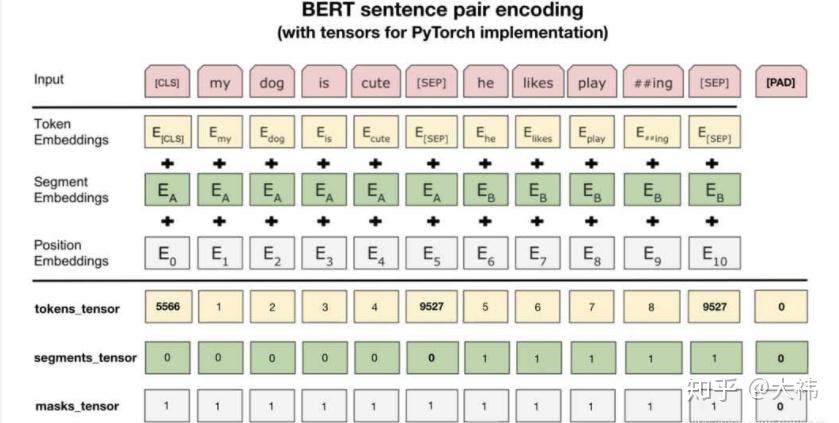 BERT 学习笔记（1） - 知乎