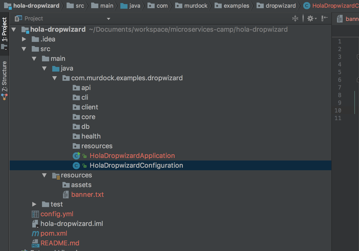 Java微服务开发指南 -- 使用Dropwizard构建微服务 - 知乎