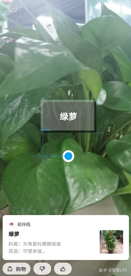 华为小艺带你看90后6大初老症状 知乎