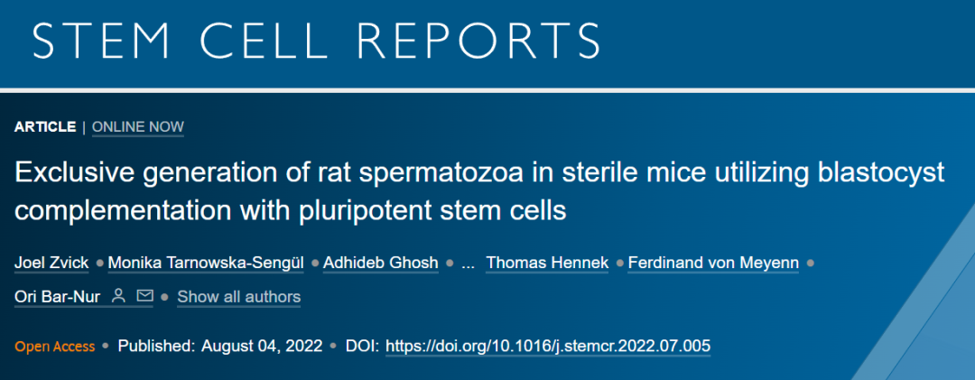 Stem Cell Reports：在不育小鼠中培育出大鼠的精子细胞 - 知乎