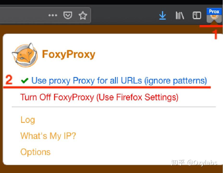 FoxyProxy的安装与使用 - 知乎