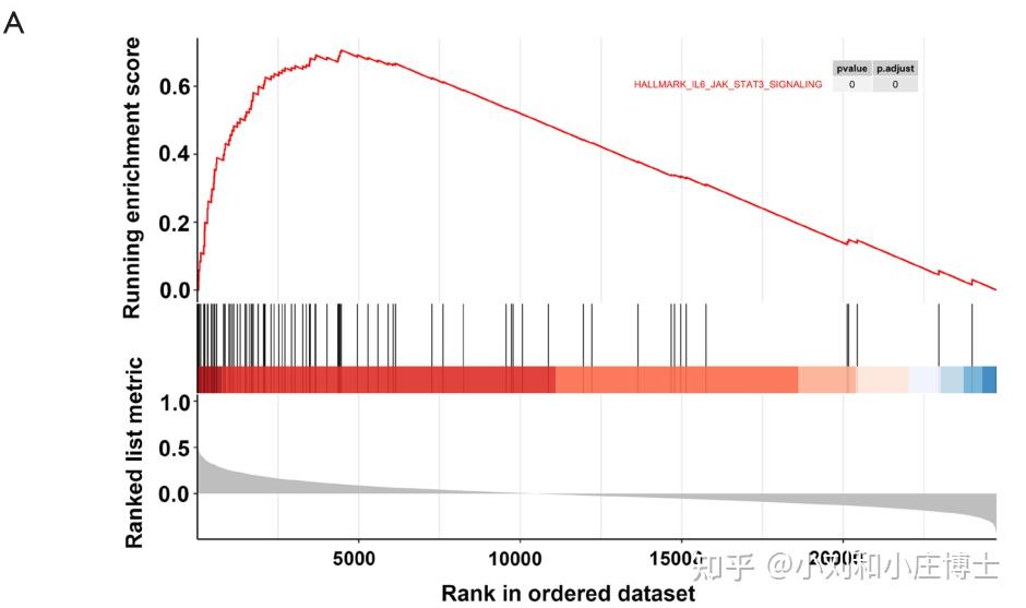 超详细解读什么是GSEA分析 - 知乎