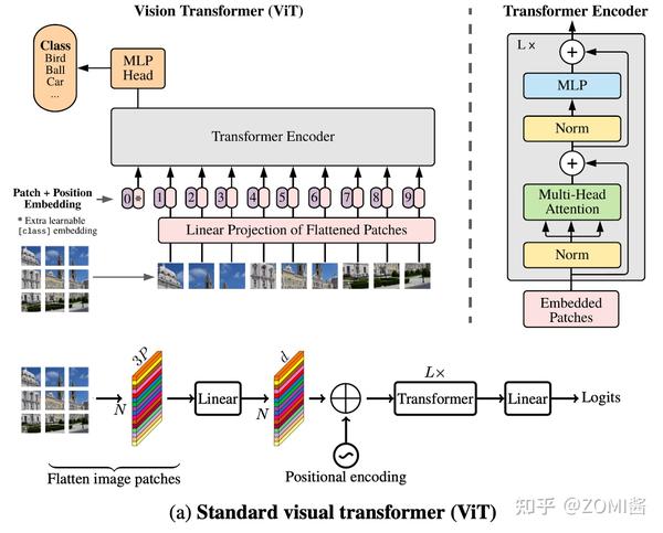 MobileViT：挑战MobileNet端侧霸主 - 知乎