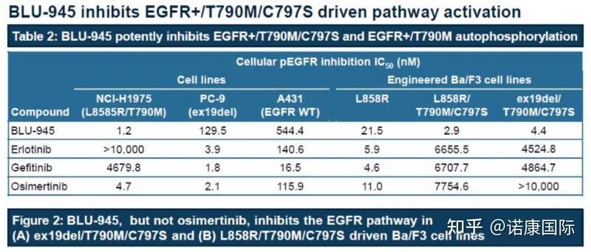 BLU-945来了，能否担当肺癌四代靶向药？ - 知乎