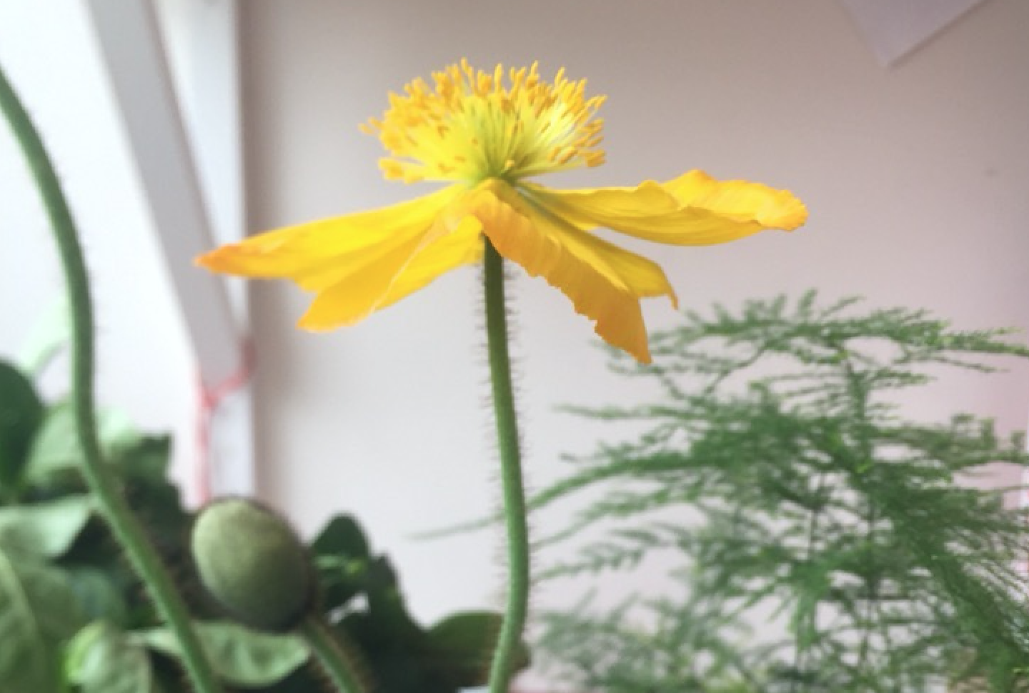 Android Package Name vs. Application ID - 知乎