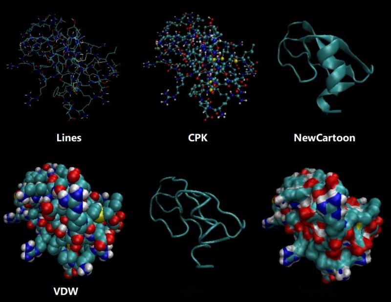 VMD可视化对接结果 - 知乎