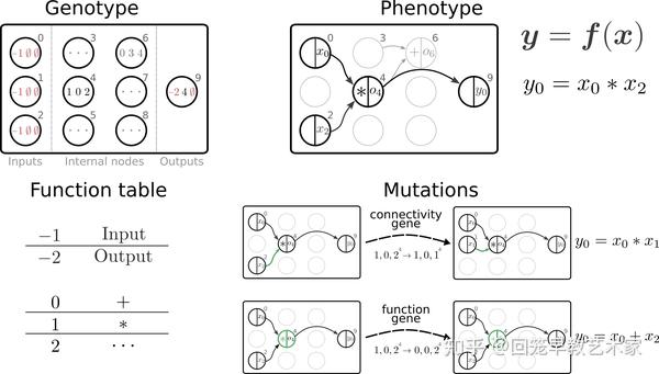 【Python自用笔记15】hal-cgp：一个遗传规划算法库 - 知乎