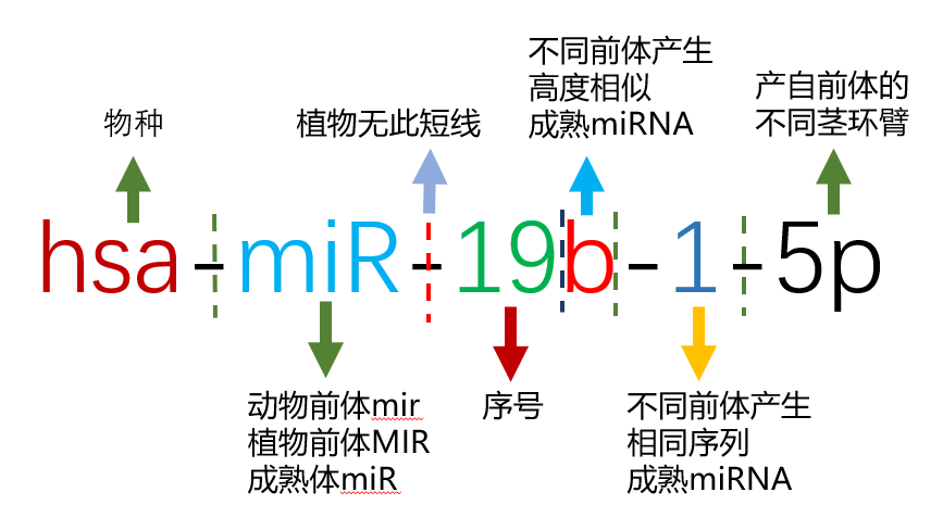 细数miRNA的”一二三”之miRNA芯片 - 知乎