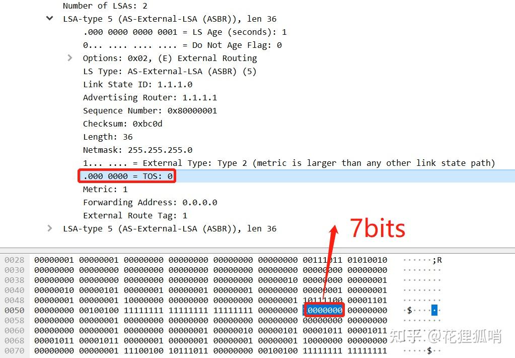 OSPF LSA报文格式总结 - 知乎