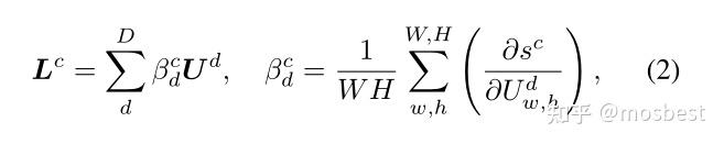 DTFD-MIL：组织病理学全玻片图像分类的双层特征提取多实例学习 - 知乎