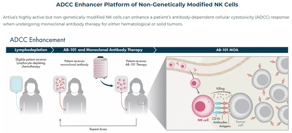 志同道合NK：AFM13+Pembrolizumab/AFM13+AB101 - 知乎
