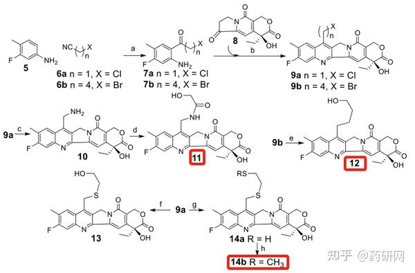 国外主要ADC技术梳理（上） - 知乎