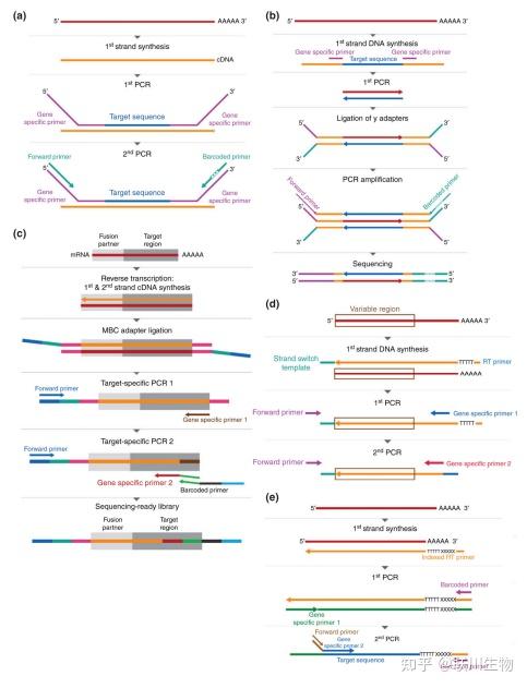 干货|一篇文章带你了解用于转录组分析的RNA-seq方法 - 知乎