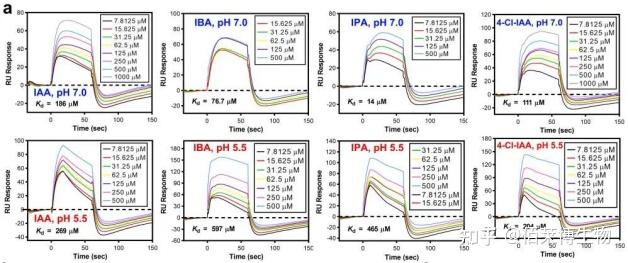 膜蛋白与小分子互作：SPR及ITC助力揭示生长素极性运输机制 - 知乎