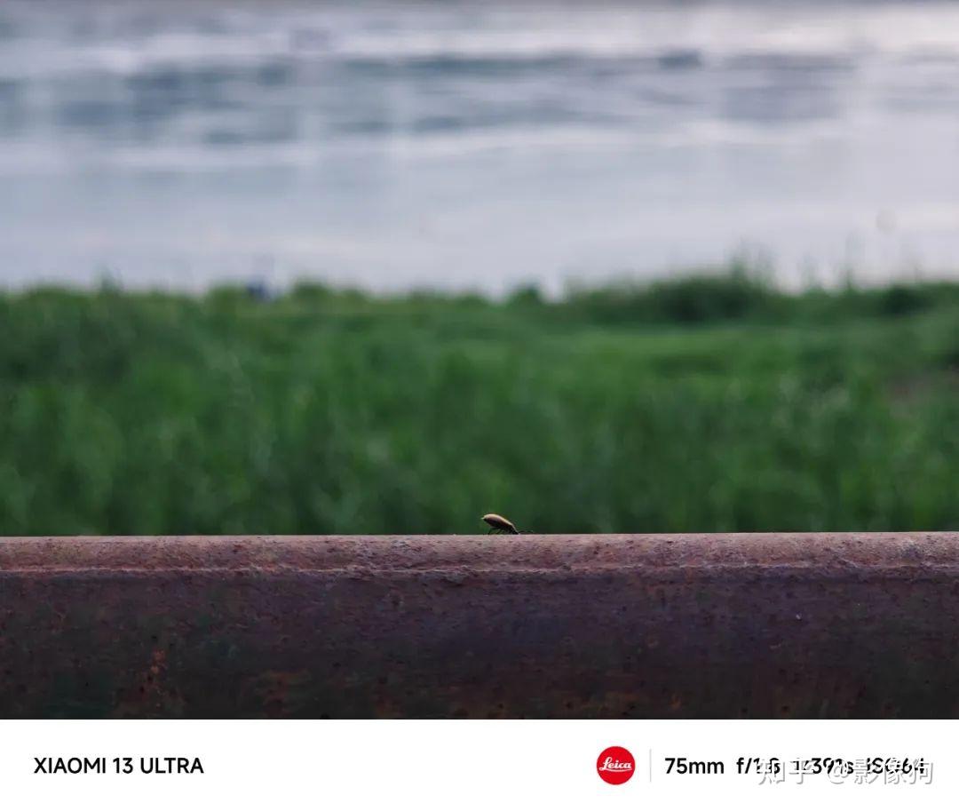小米13Ultra手机影像测评：作为一台相机，ta表现如何？ - 知乎