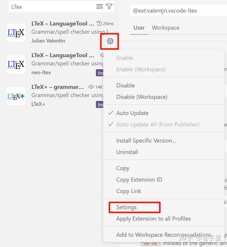 VSCode扩展LTeX安装踩坑记录 - 知乎