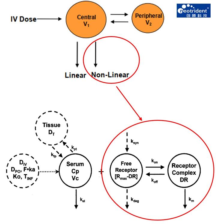 【Phoenix WinNonlin教程】 PML代码模型之靶点介导的药物处置（TMDD）模型 - 知乎