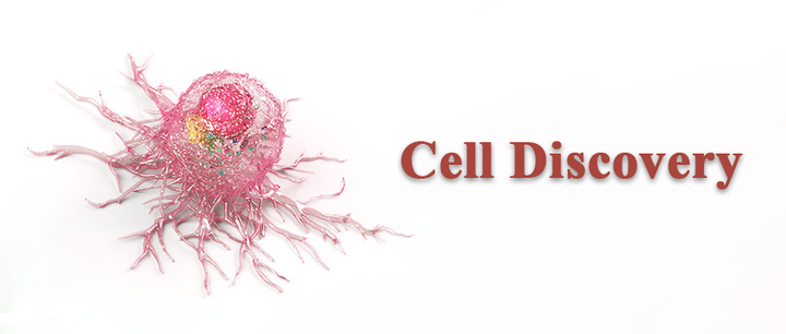 Cell Discov | 丁酰化修饰组学研究揭示癌症耐药新机制 - 知乎