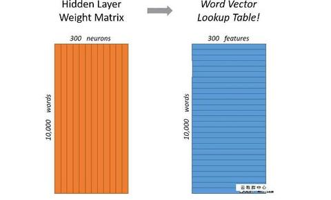 How to flip map - 知乎