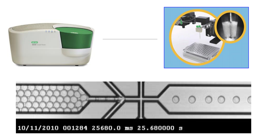 微液滴数字PCR之伯乐QX200 - 知乎
