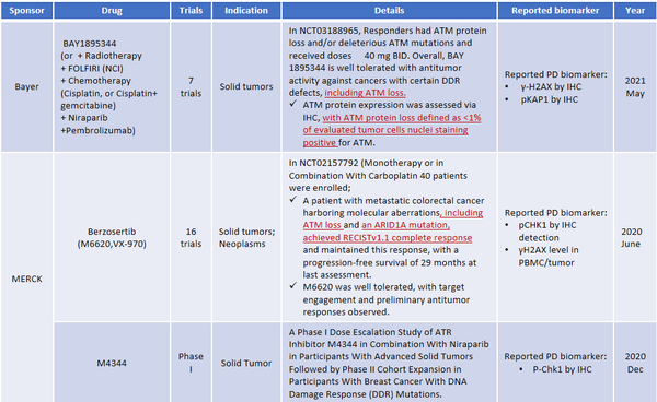 ATR抑制剂：点燃合成致死靶点新希望 - 知乎