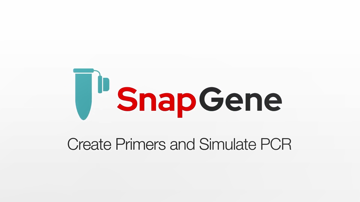 如何在SnapGene中创建引物并模拟PCR（视频） - 知乎