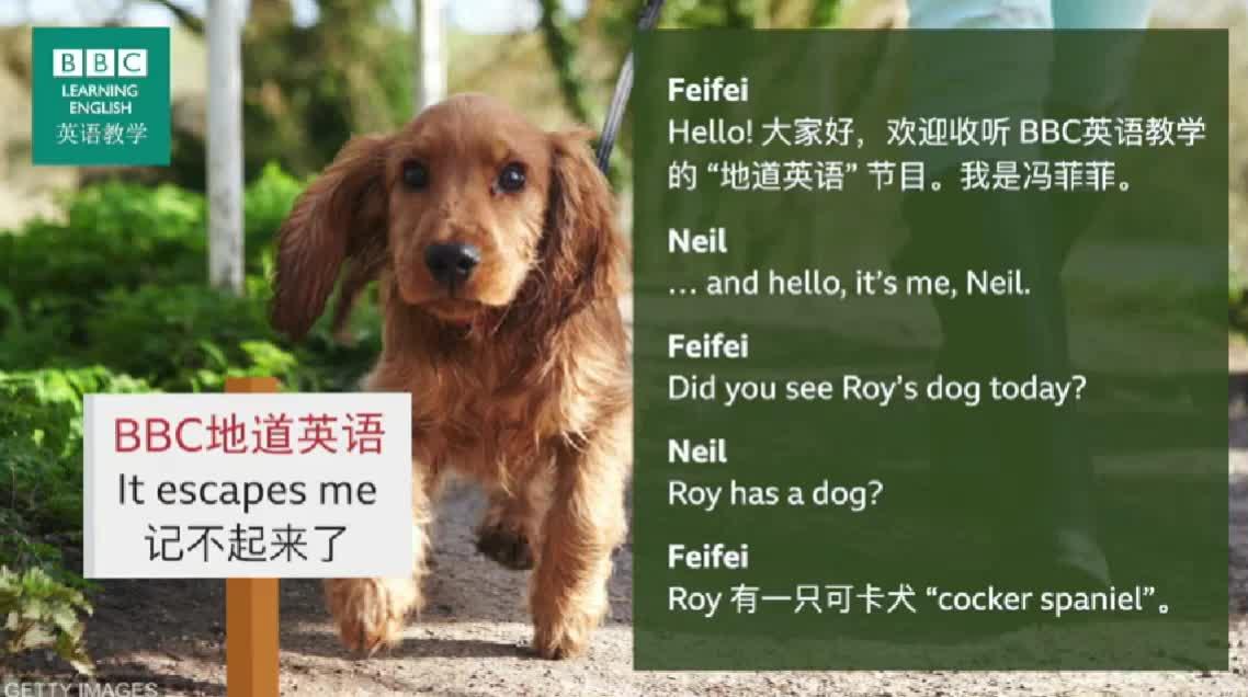 地道英语: It escapes me 记不起来了 - 知乎