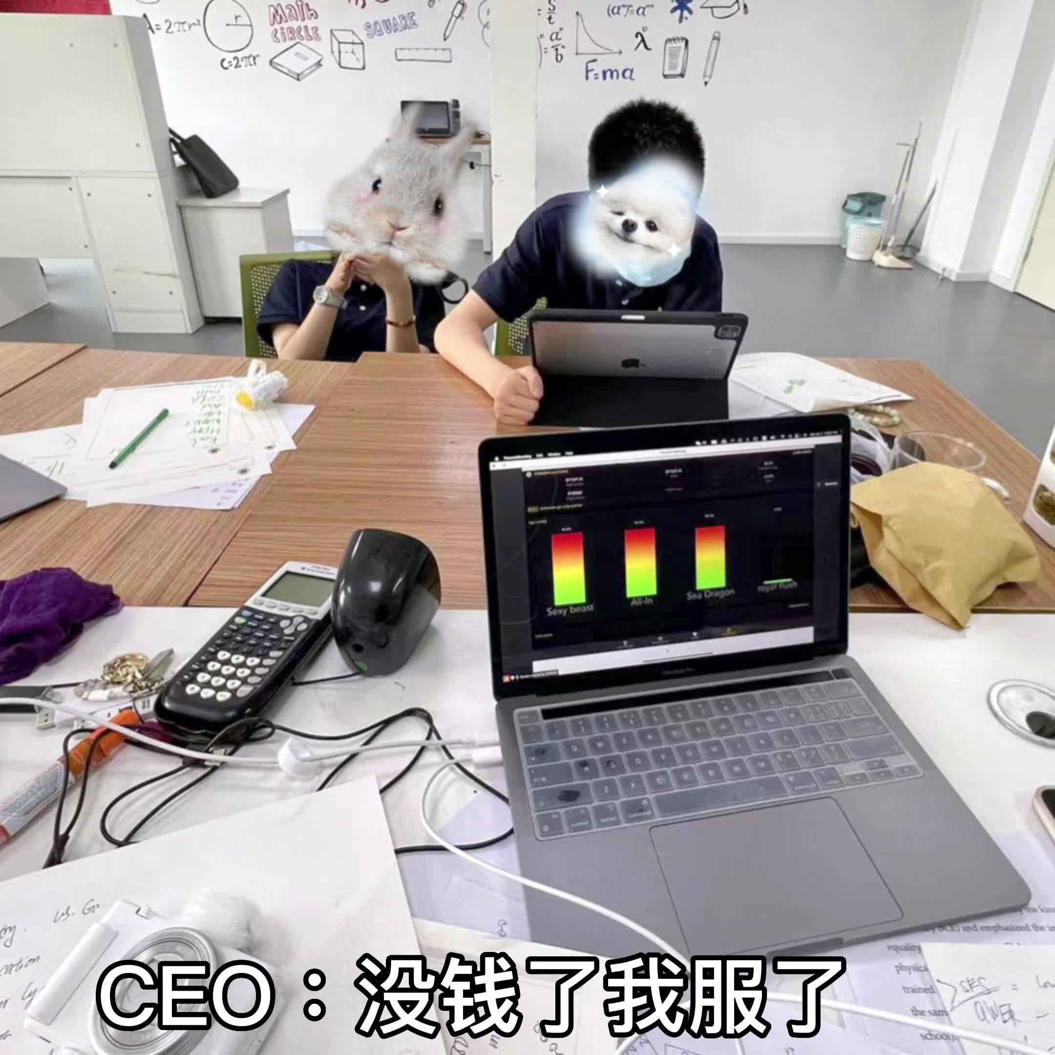 黄石活动 | 首次逐鹿ASDAN即获奖，黄石战队备赛过程全解 - 知乎